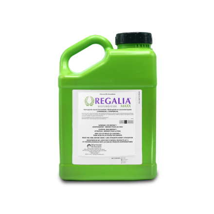 Colombia | Rizobacter